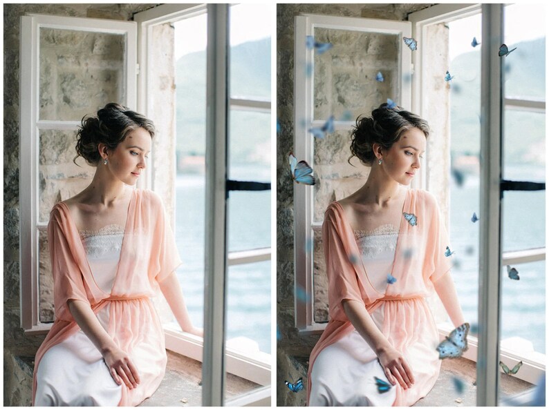 Butterfly PNG Photoshop Overlays - Etsy