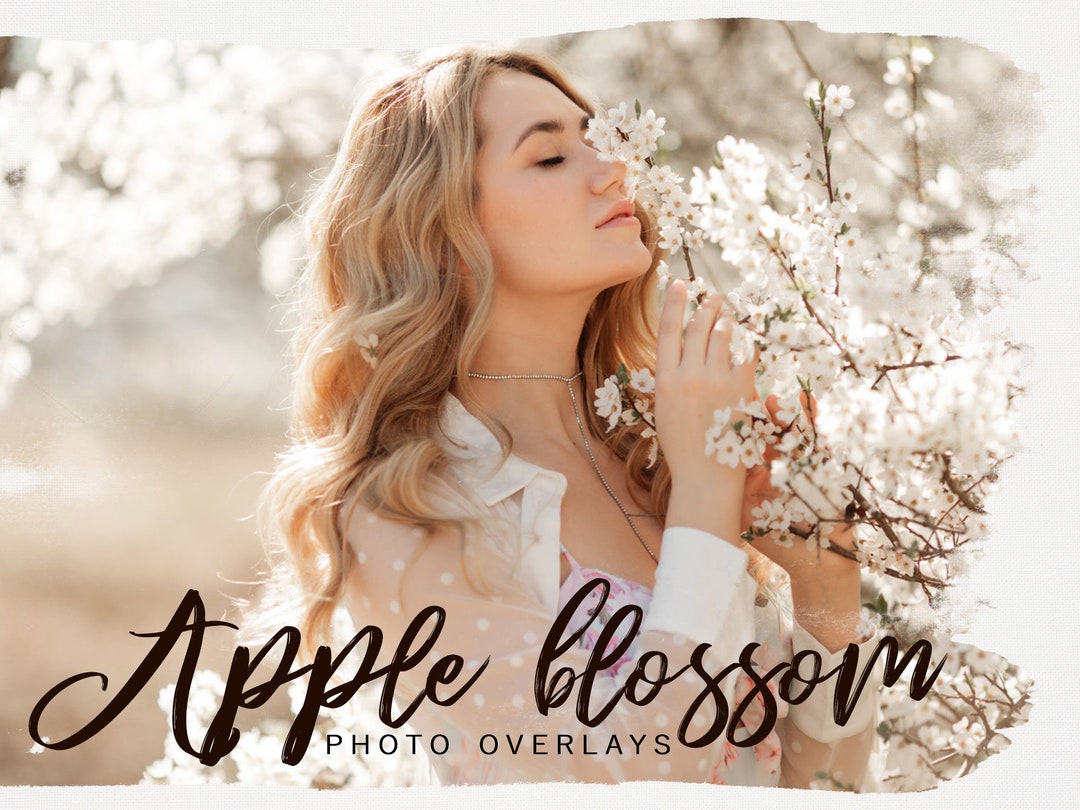 Apple Tree Blossom PNG Photoshop Overlays - Etsy