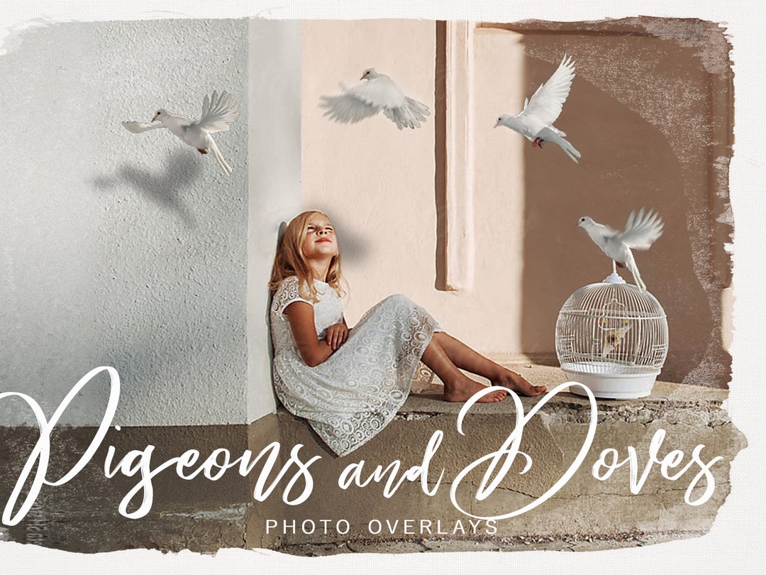 Birds PNG Photoshop Overlays - Etsy