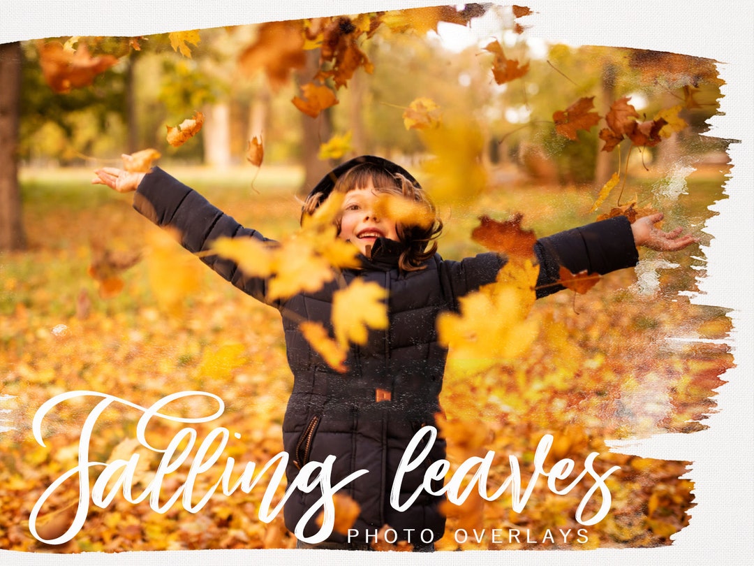 Autumn Leaves PNG Photoshop Overlays - Etsy