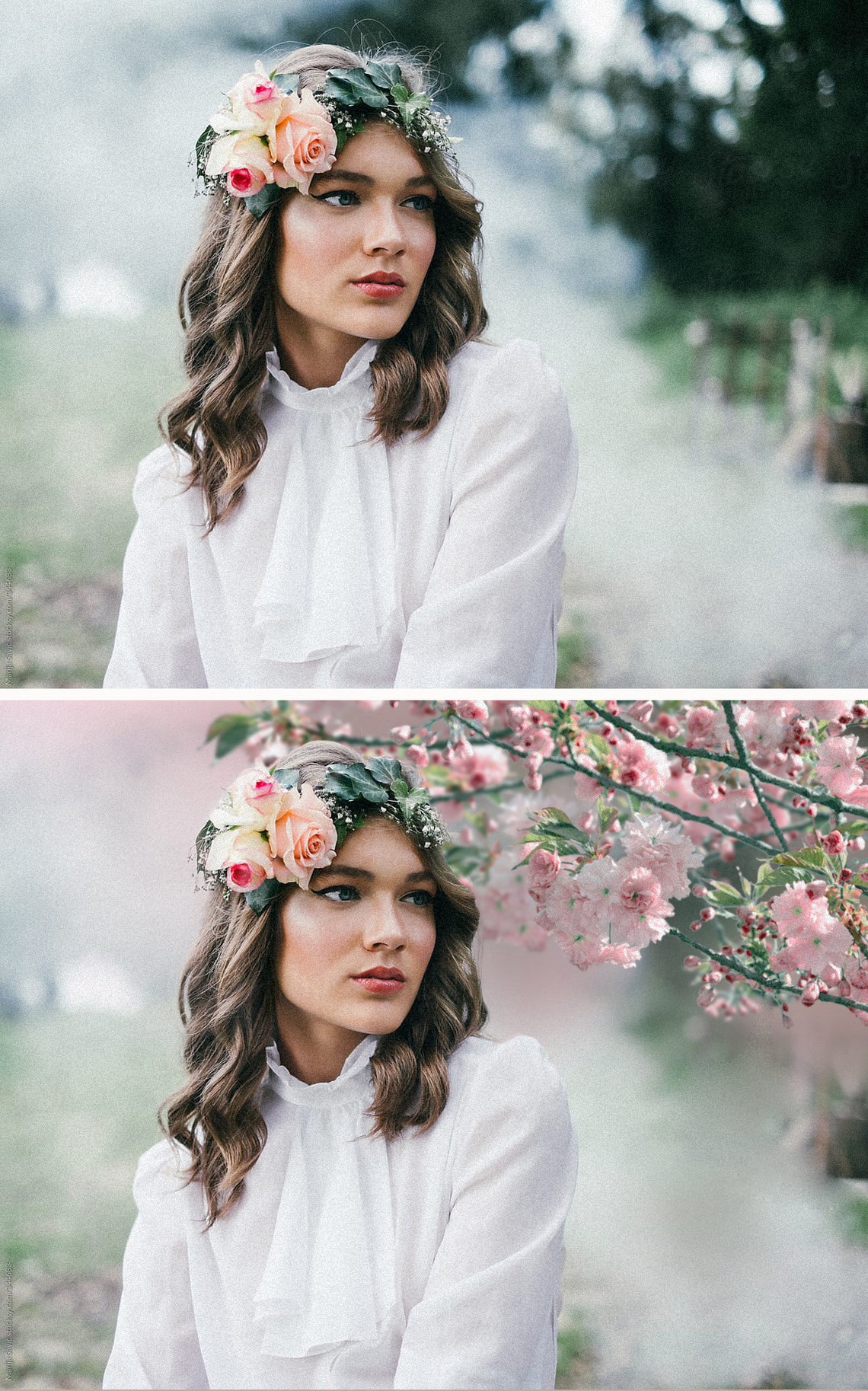 Cherry Blossom PNG Photoshop Overlays - Etsy