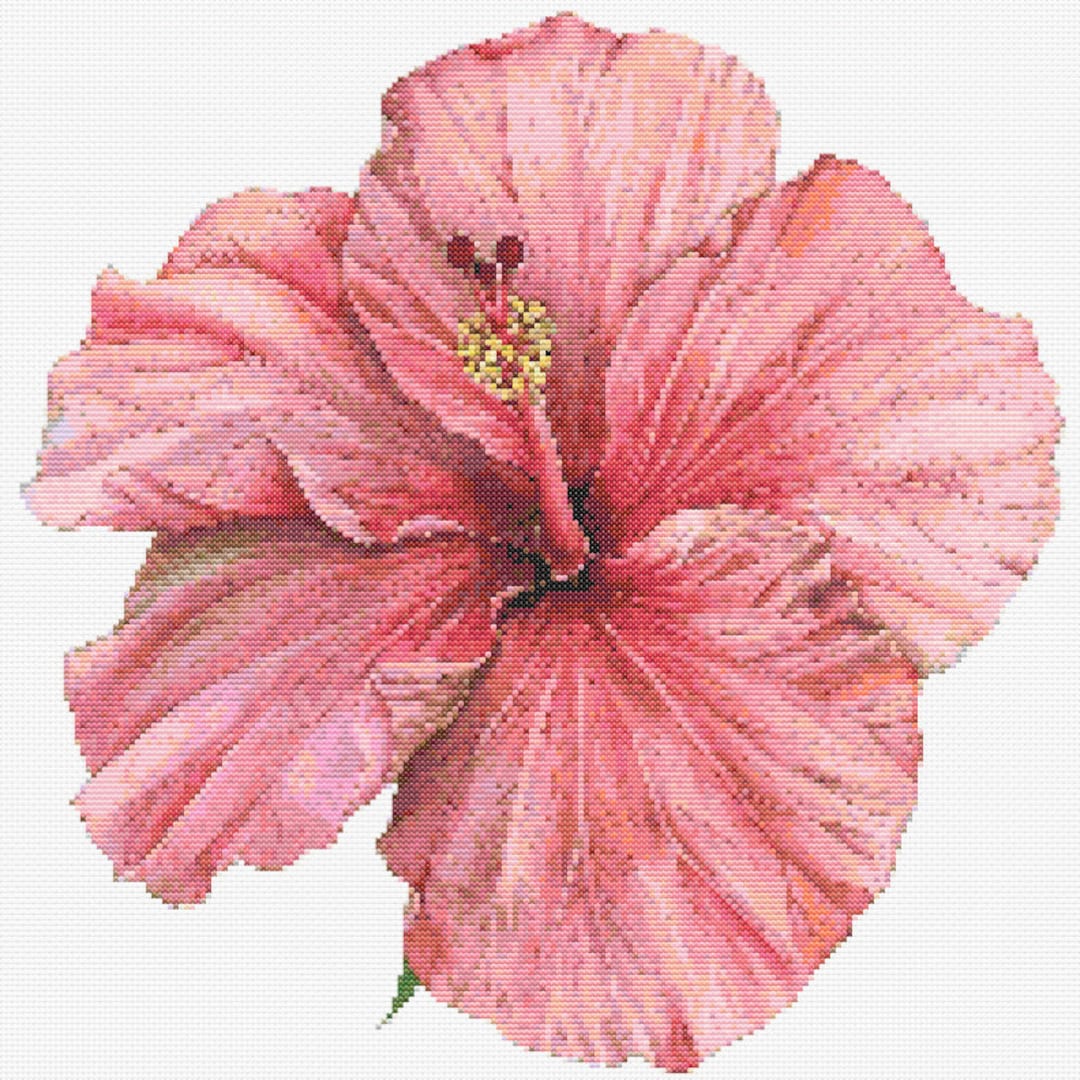 Hibiscus Flower 4 Cross-stitch Pattern Digital Download - Etsy