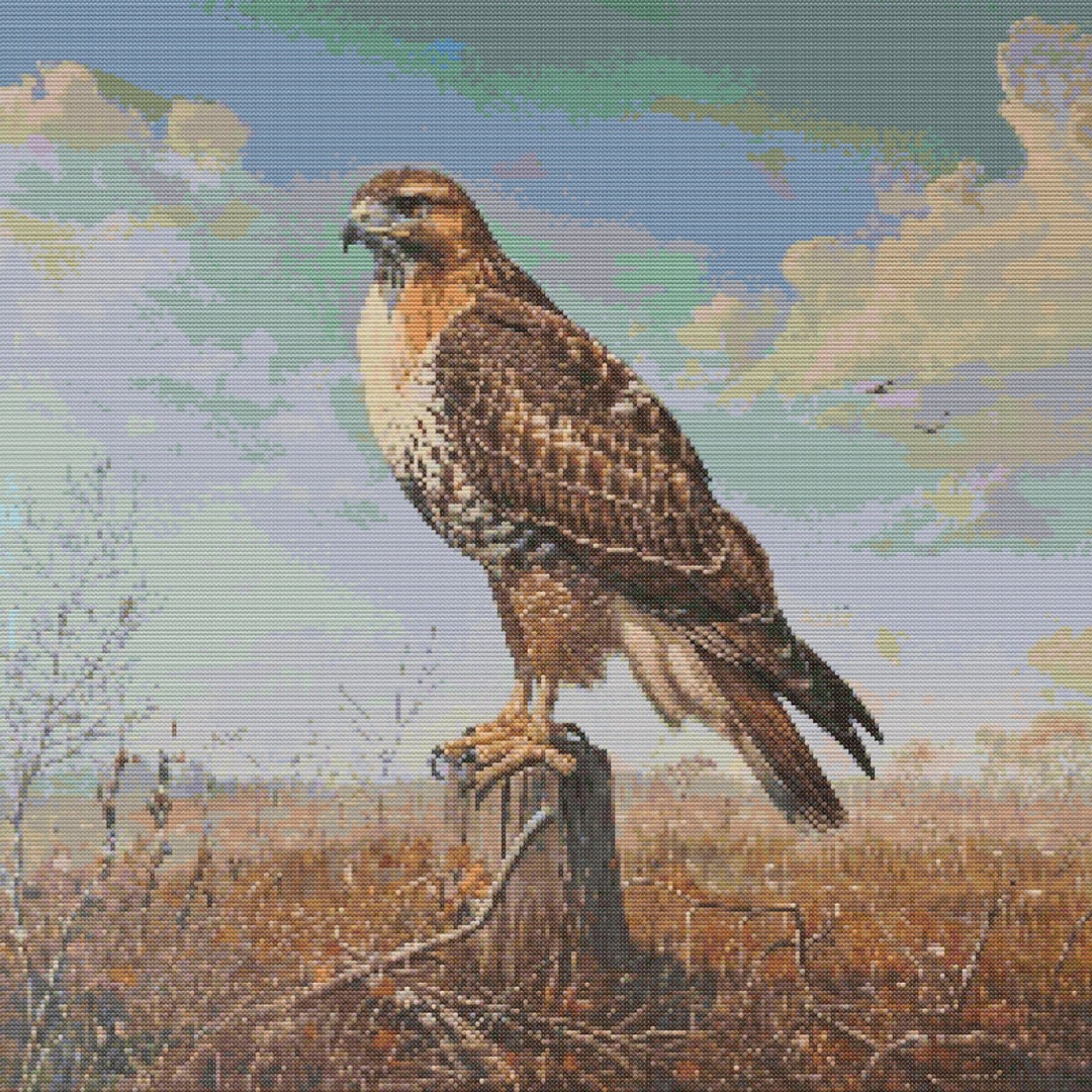 Red-tailed Hawk Scene 4 Cross-stitch Pattern Digital Download - Etsy