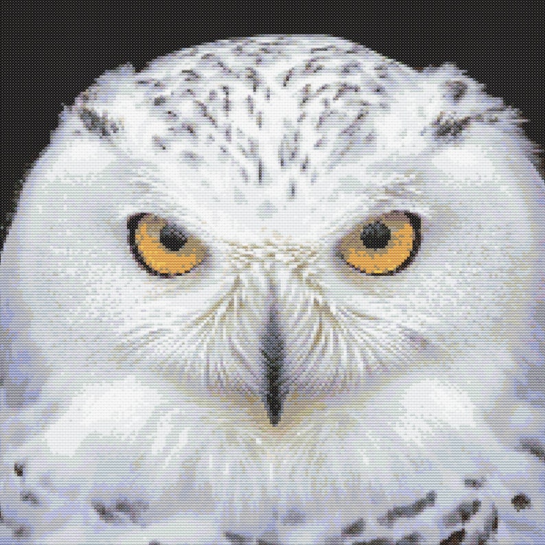 Snowy Owl Face 2 Cross-stitch Pattern Digital Download - Etsy