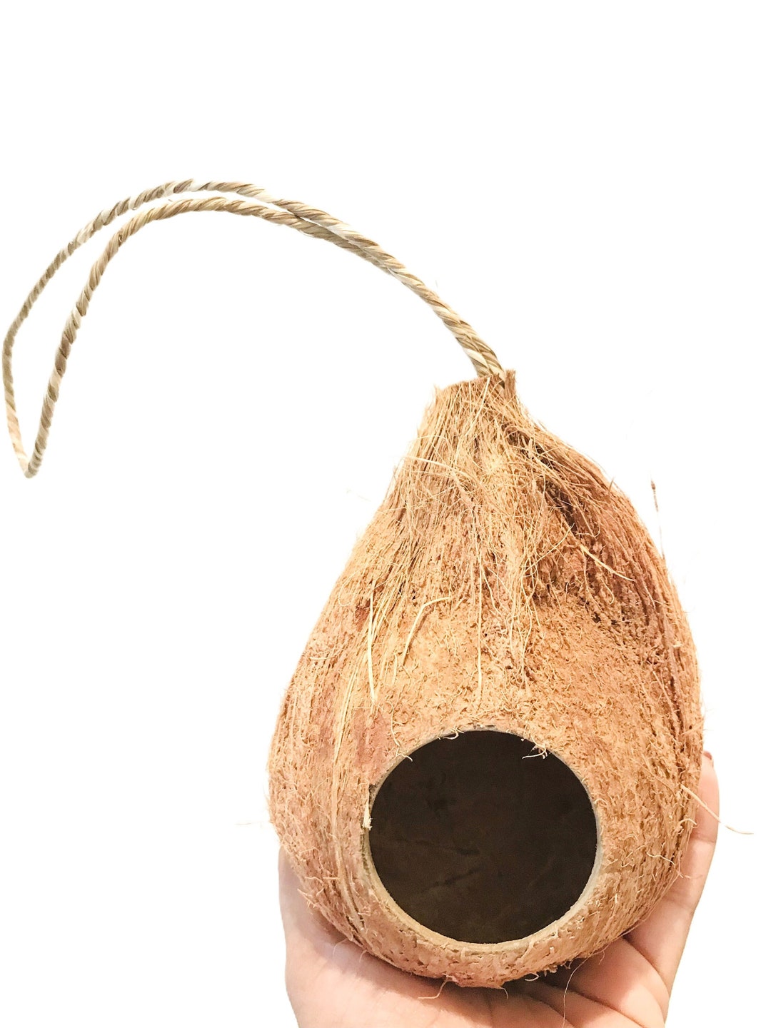 Coconut Hide With Fiber Loop, for Crested Gecko & Lizard, Hideout for ...