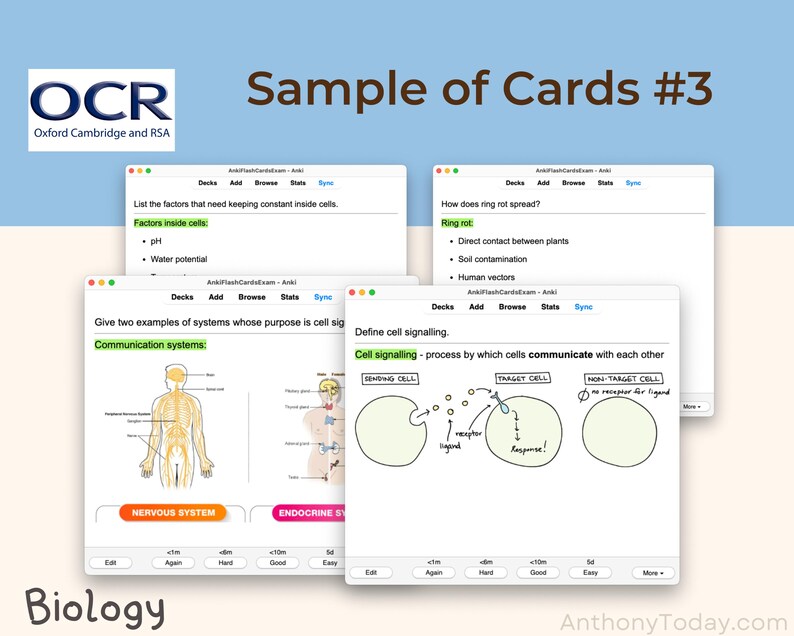 A Level Biology OCR Anki Flashcards | Comprehensive Exam Prep | Master ...