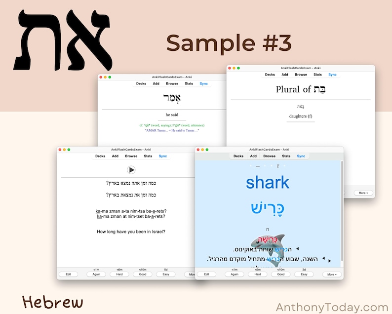 Hebrew Ultimate Guide Anki Flashcards | Audio-enhanced Learning ...
