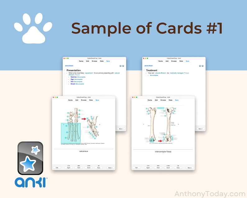 Veterinary Nurse Anki Flashcards: Medical Terminology & Clinical Skills ...