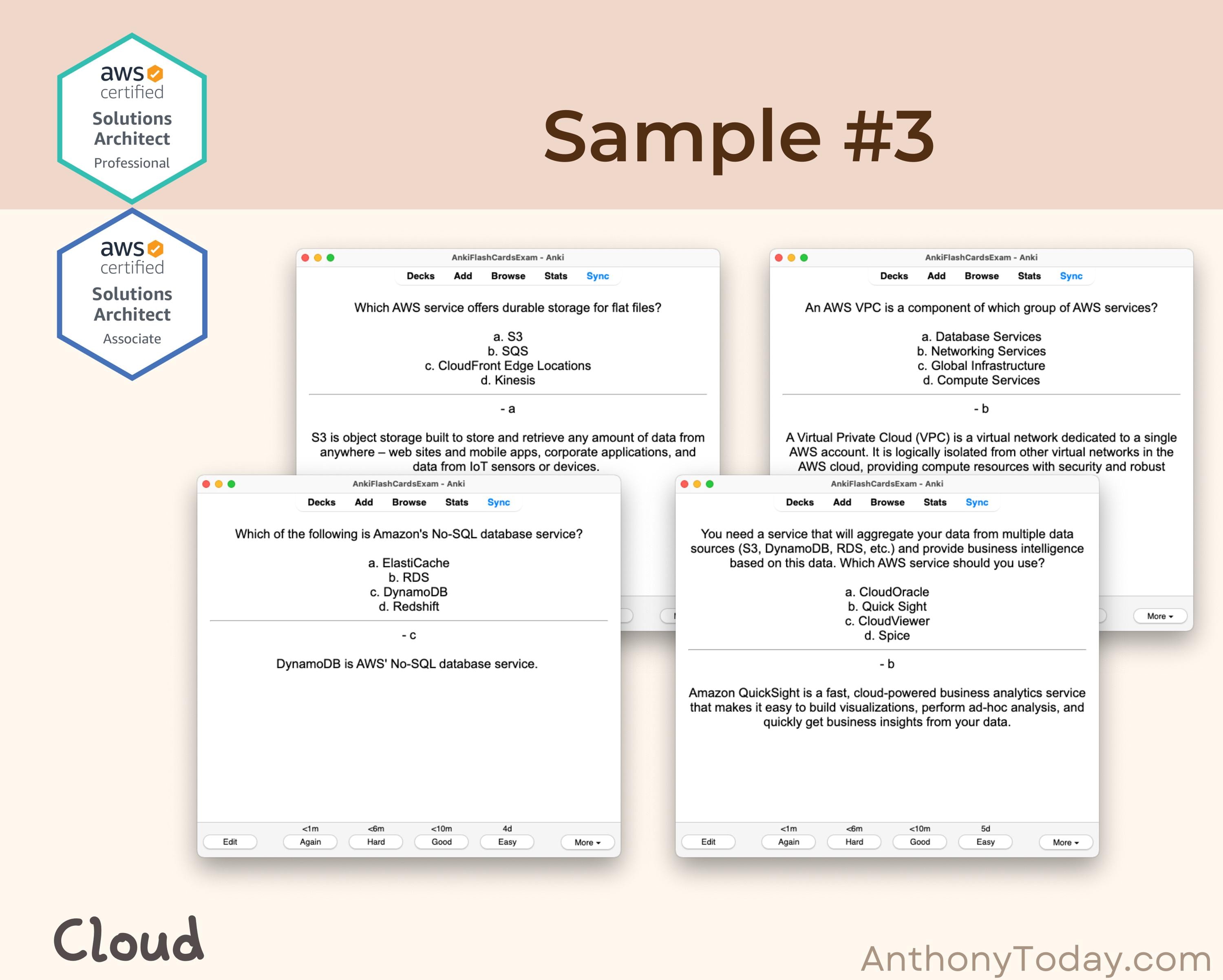 AWS Solutions Architect Exam Prep SAA-C03 SAP-C02 | Anki Flashcard ...