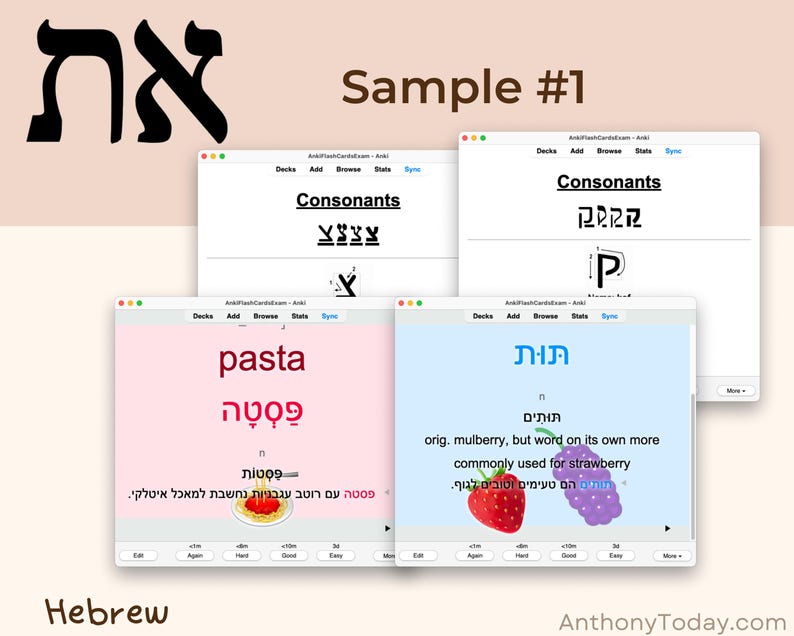 Hebrew Anki Flashcards | Audio Card Vocabulary Grammar Study Guide ...