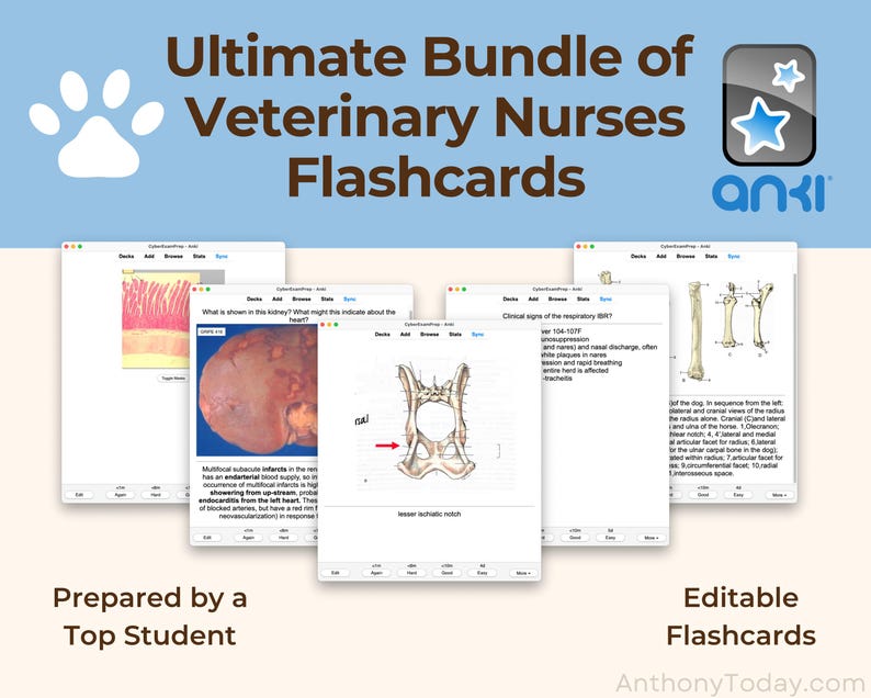 Veterinary Nurse Anki Flashcards: Medical Terminology & Clinical Skills ...