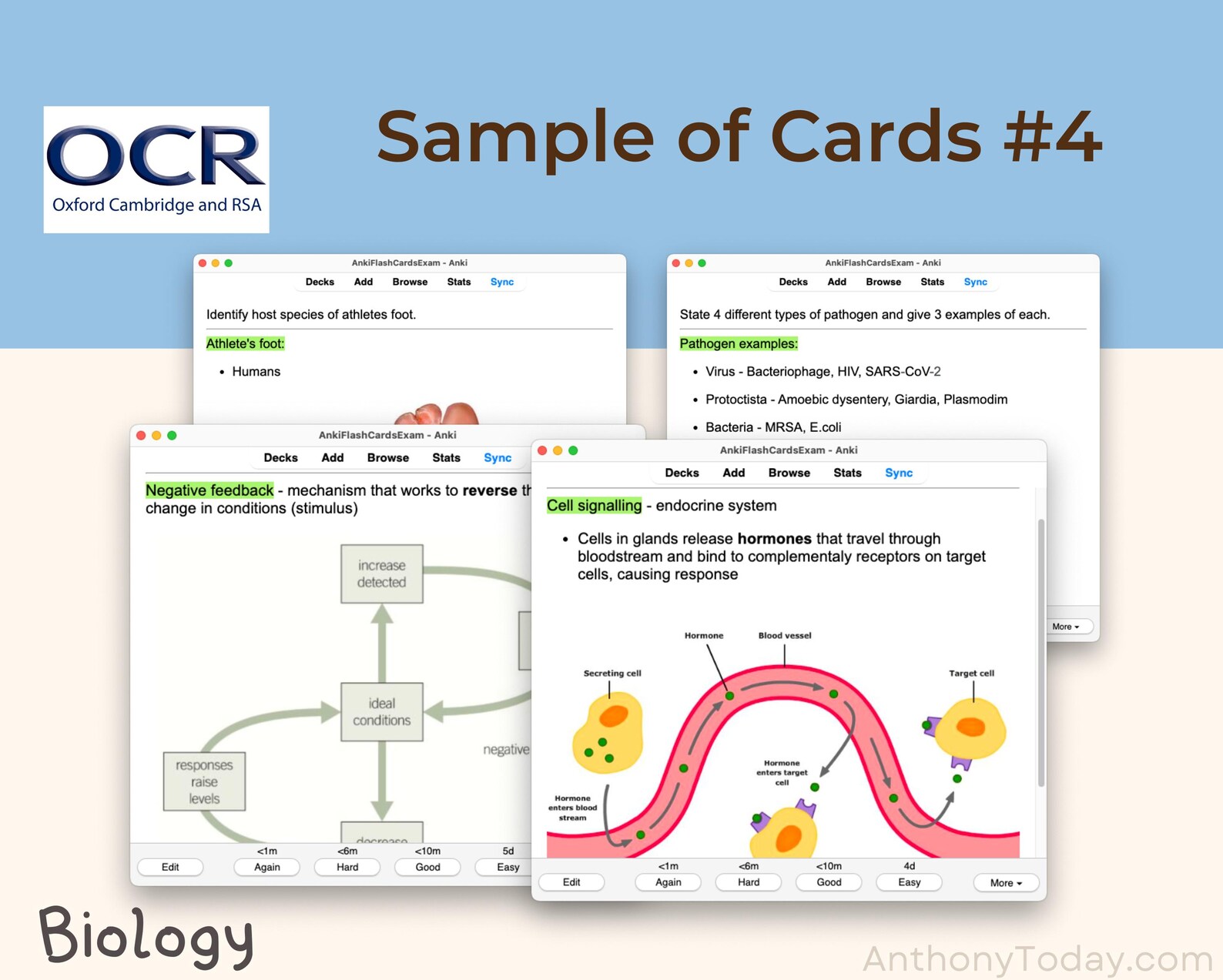 A Level Biology OCR Anki Flashcards: Official Exam Question Study Guide ...