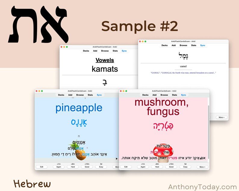 Hebrew Ultimate Guide Anki Flashcards | Audio-enhanced Learning ...