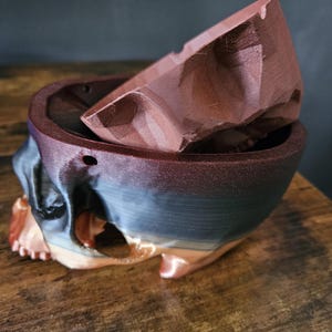 Skull Flower Pot | Drainage Insert Included - Unique Planter for ...