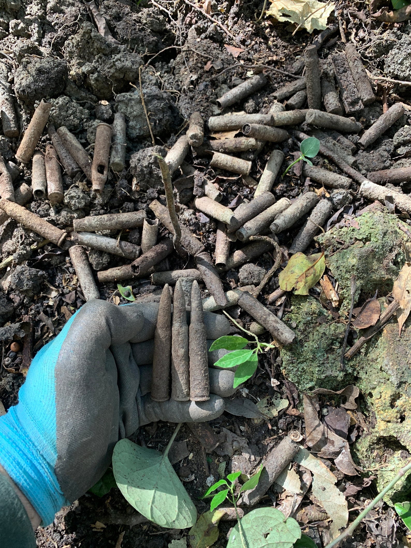 Antique WW2 Battle of Okinawa-8 Japanese Brass Casings Hacksaw - Etsy