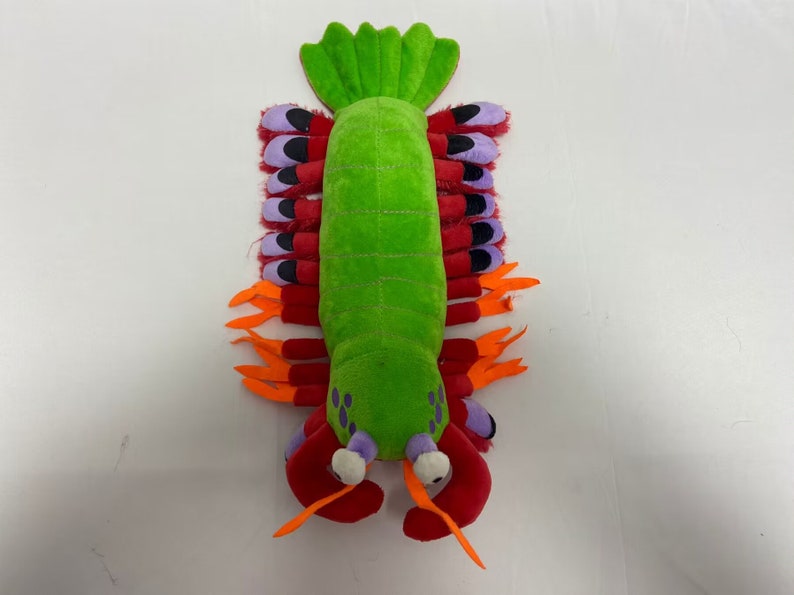 Realistic Plush Mantis Shrimp in 35cm - Etsy