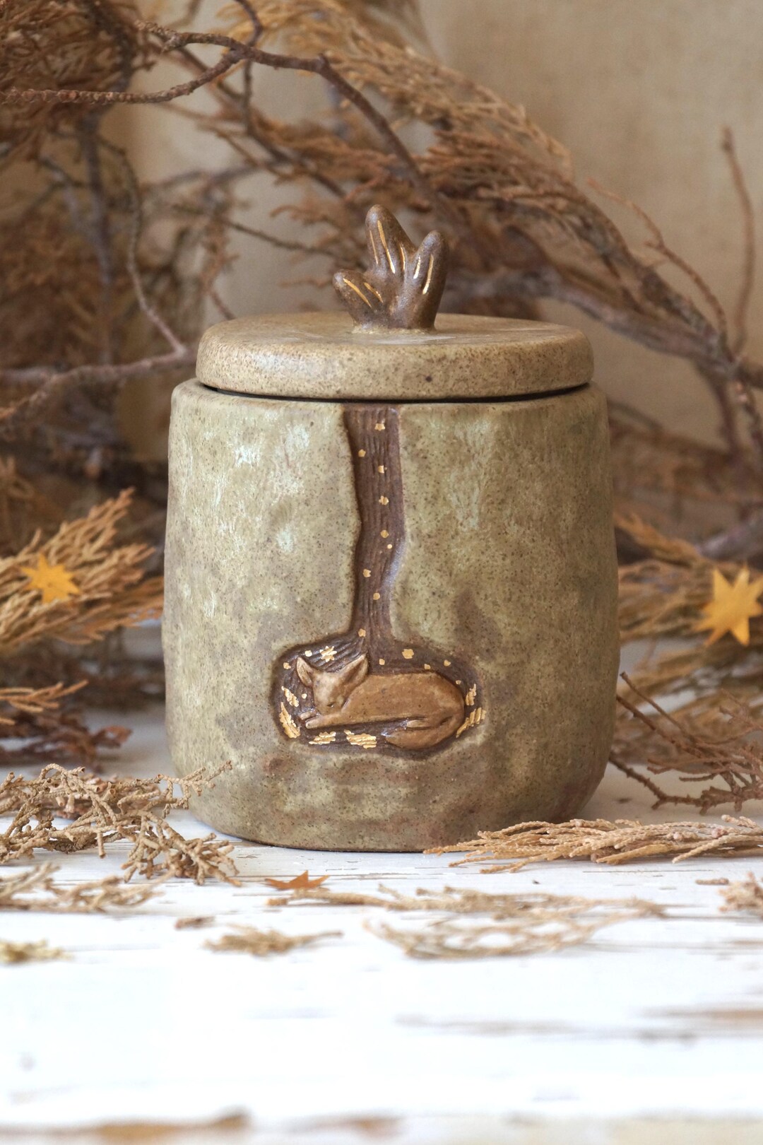 Tea Jar fennec Fox in a Burrow. Ceramic Jar for Coffee and Spices ...