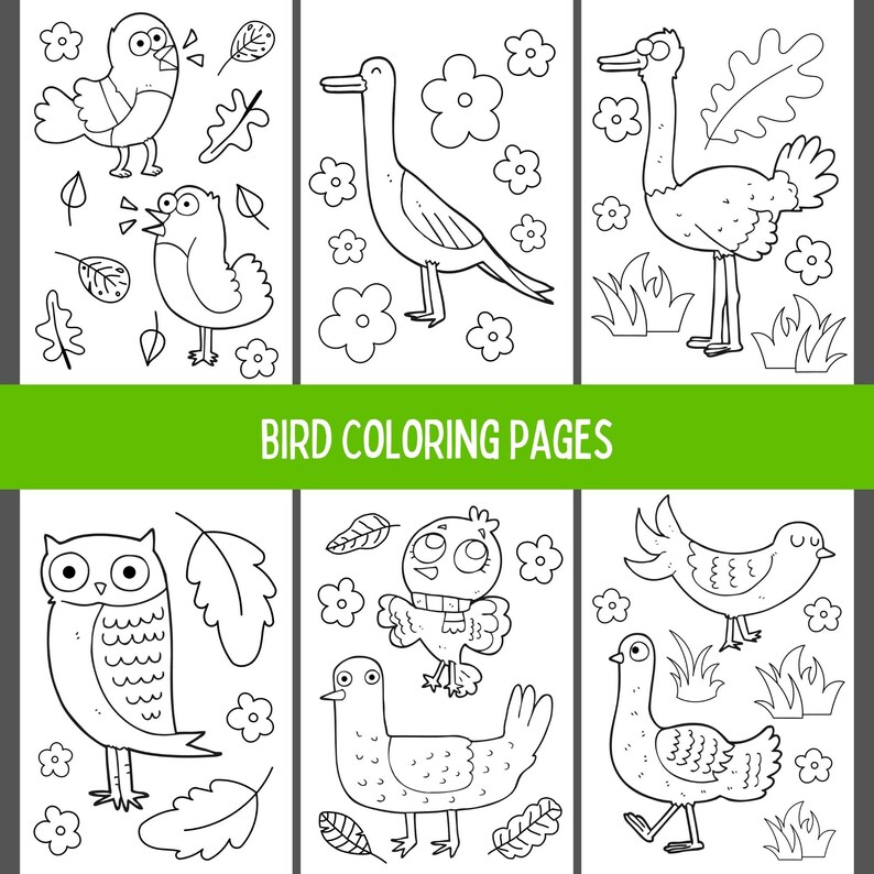 Cute Bird Coloring Pages for Kids, Bird Themed Party, Owl Coloring ...