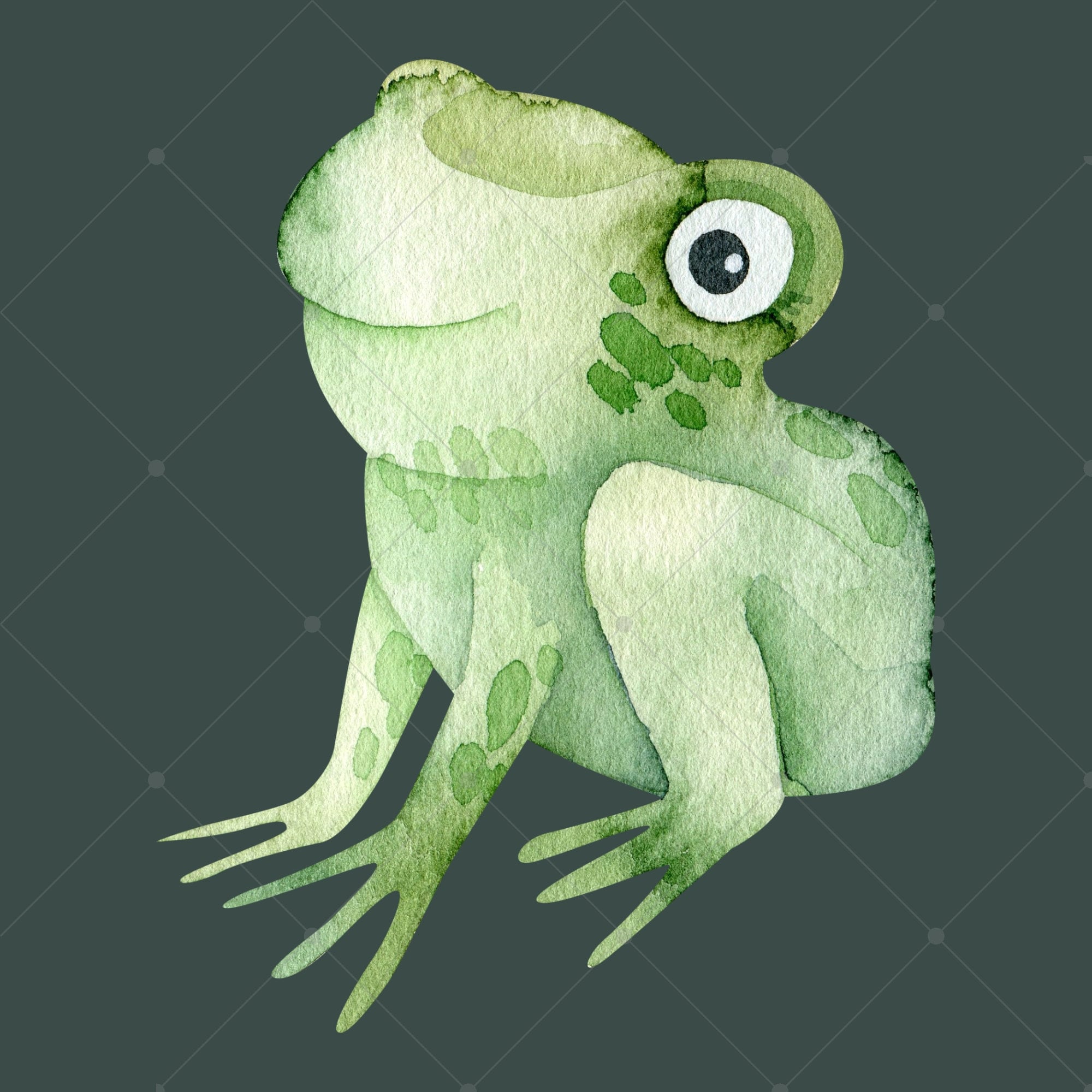 Watercolor Frog Clipart, Cute Frog Clipart, Funny Frog PNG, Cute Animal ...