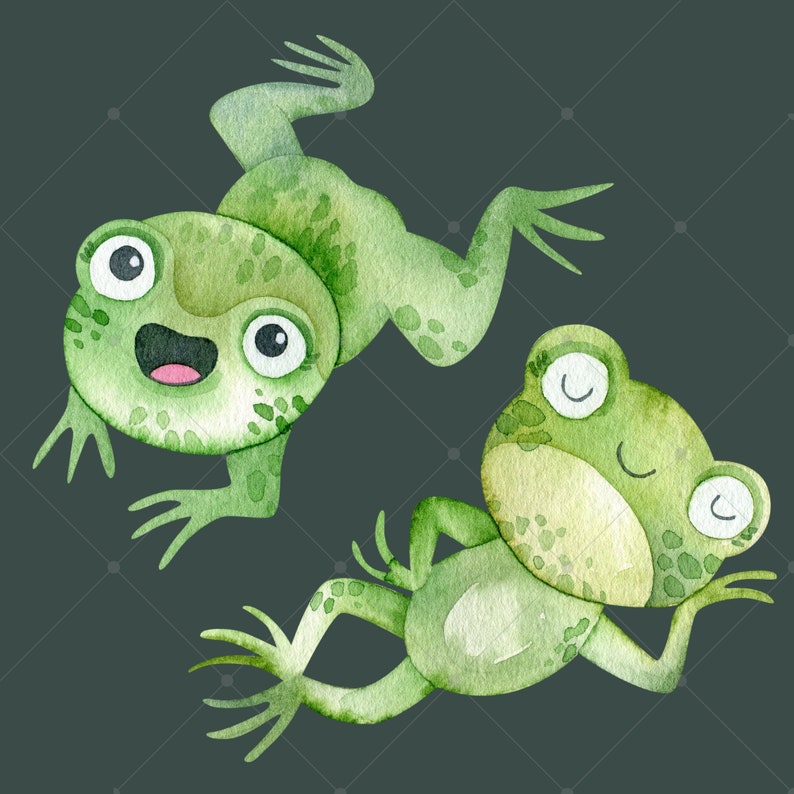 Watercolor Frog Clipart, Cute Frog Clipart, Funny Frog PNG, Cute Animal ...