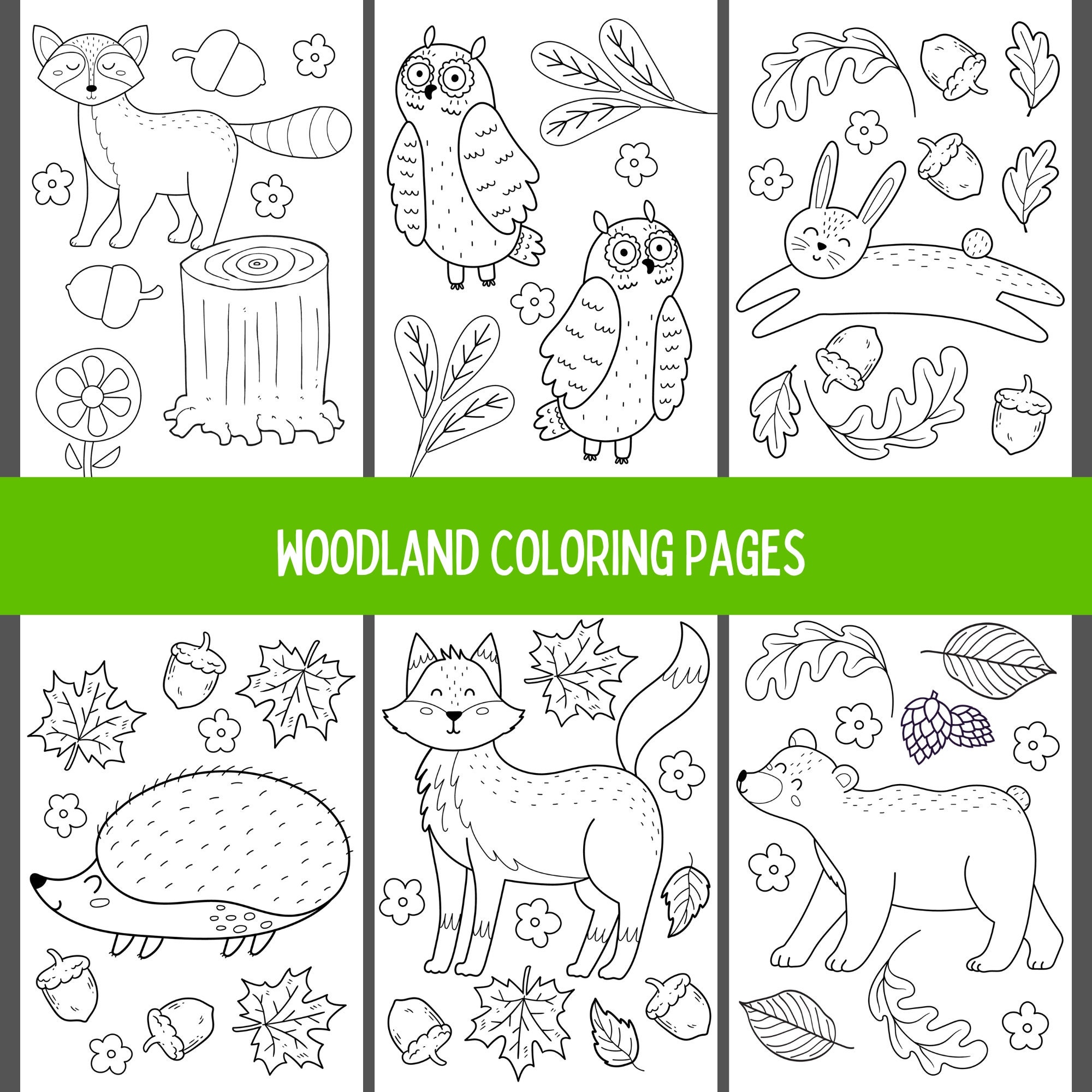Woodland Coloring Pages for Kids, Woodland Animals Coloring Book, Wild ...