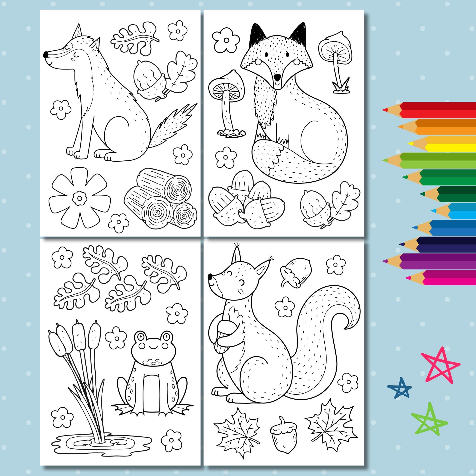 Woodland Animals Coloring Pages, Forest Activity (PDF Download, 27 ...