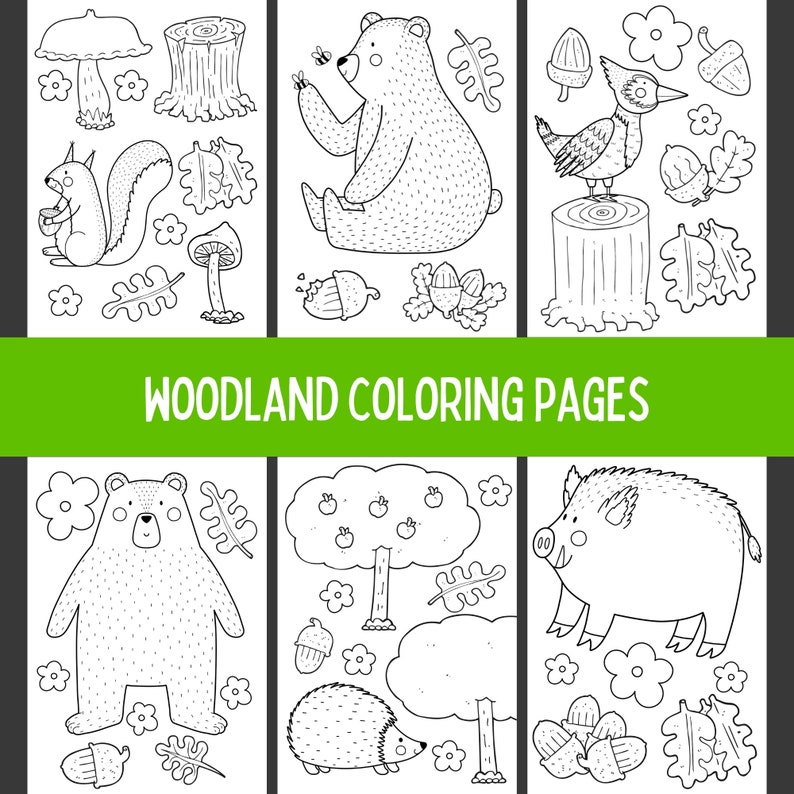 Woodland Coloring Pages for Kids, Woodland Animals Coloring Book, Wild ...