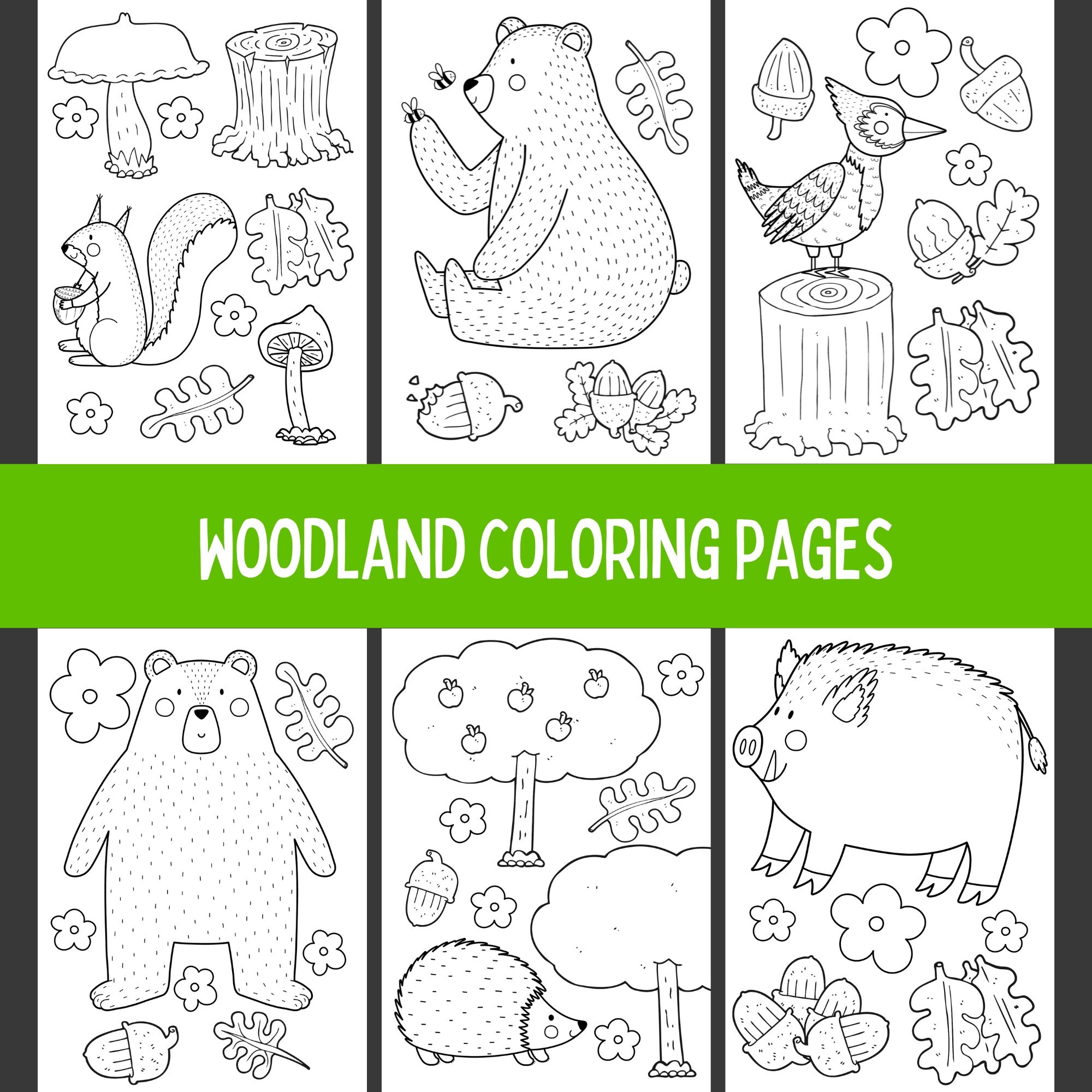 Woodland Coloring Pages for Kids, Woodland Animals Coloring Book, Wild ...