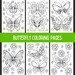 Butterfly Coloring Pages for Kids, Butterfly Activity Pages, Insect ...