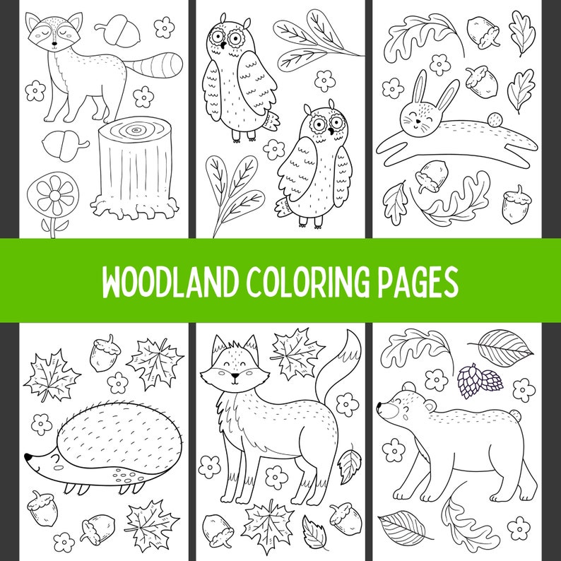 Woodland Coloring Pages for Kids, Woodland Animals Coloring Book, Wild ...