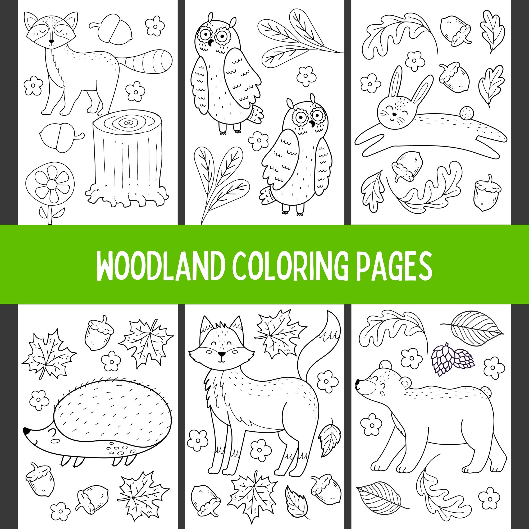 Woodland Coloring Pages for Kids, Woodland Animals Coloring Book, Wild ...