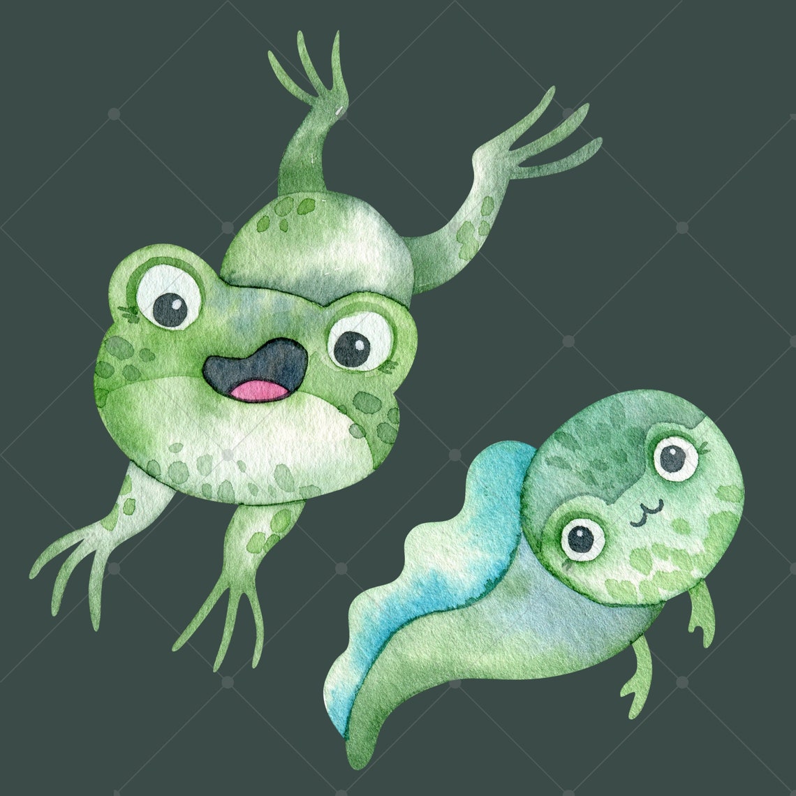 Watercolor Frog Clipart, Cute Frog Clipart, Funny Frog PNG, Cute Animal ...