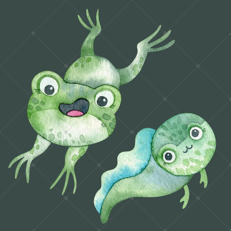 Watercolor Frog Clipart, Cute Frog Clipart, Funny Frog PNG, Cute Animal ...
