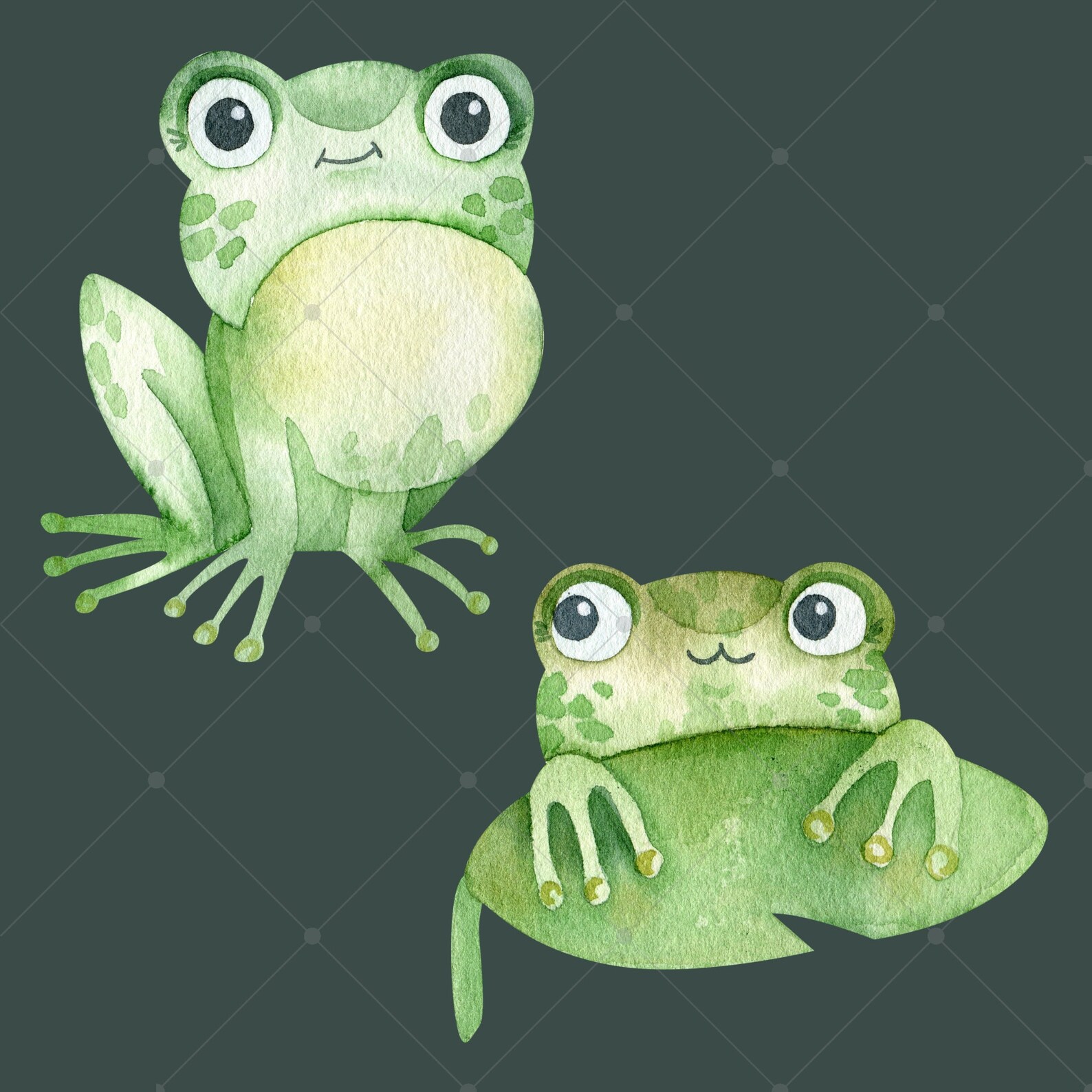 Watercolor Frog Clipart, Cute Frog Clipart, Funny Frog PNG, Cute Animal ...