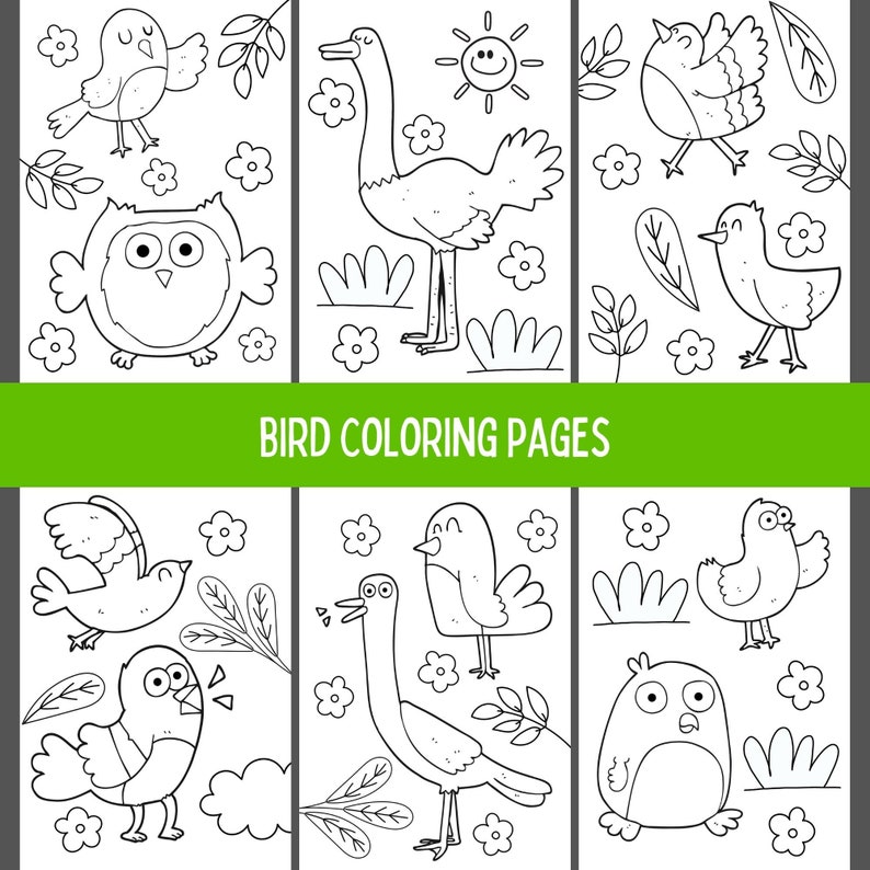 Cute Bird Coloring Pages for Kids, Bird Themed Party, Owl Coloring ...