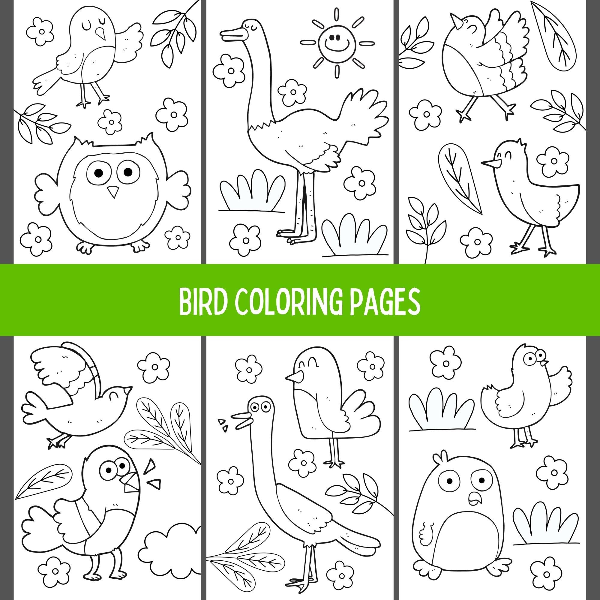Cute Bird Coloring Pages for Kids, Bird Themed Party, Owl Coloring ...