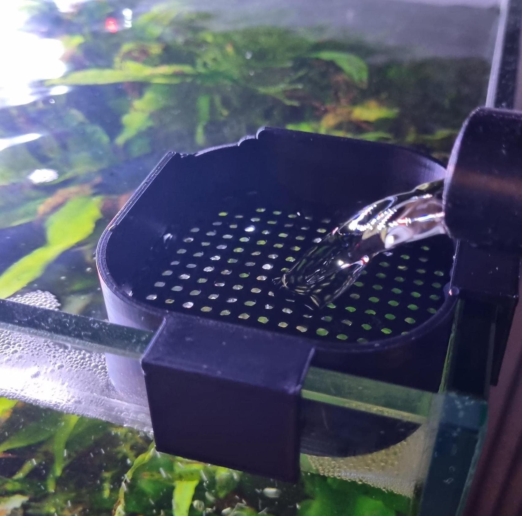 Water Change Aquarium Maintenance Tool - Fish Tank Water Diffuser With ...