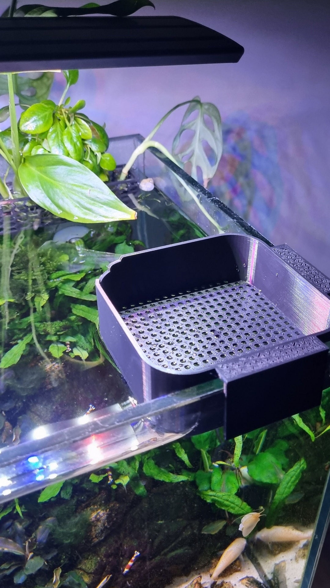 Water Change Aquarium Maintenance Tool for Fish Tank Water Diffuser - Etsy