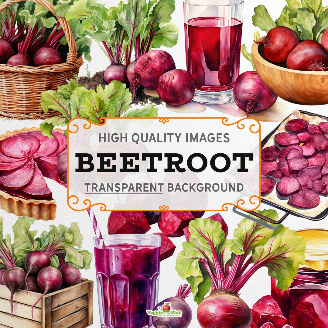 Beetroot Clipart - Pack 2 - Watercolour Style, Colourful, 300dpi PNG ...