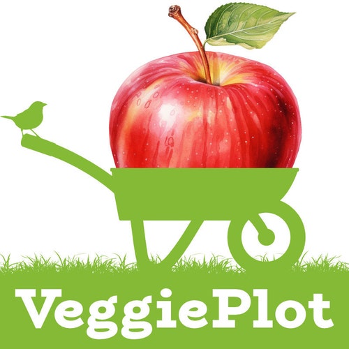 VeggiePlot - Etsy UK