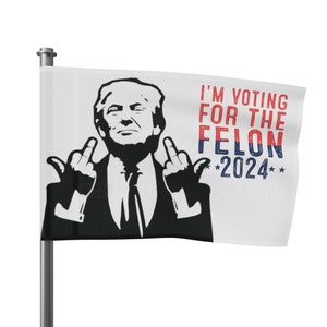 Im Voting for the Felon Flag - Etsy