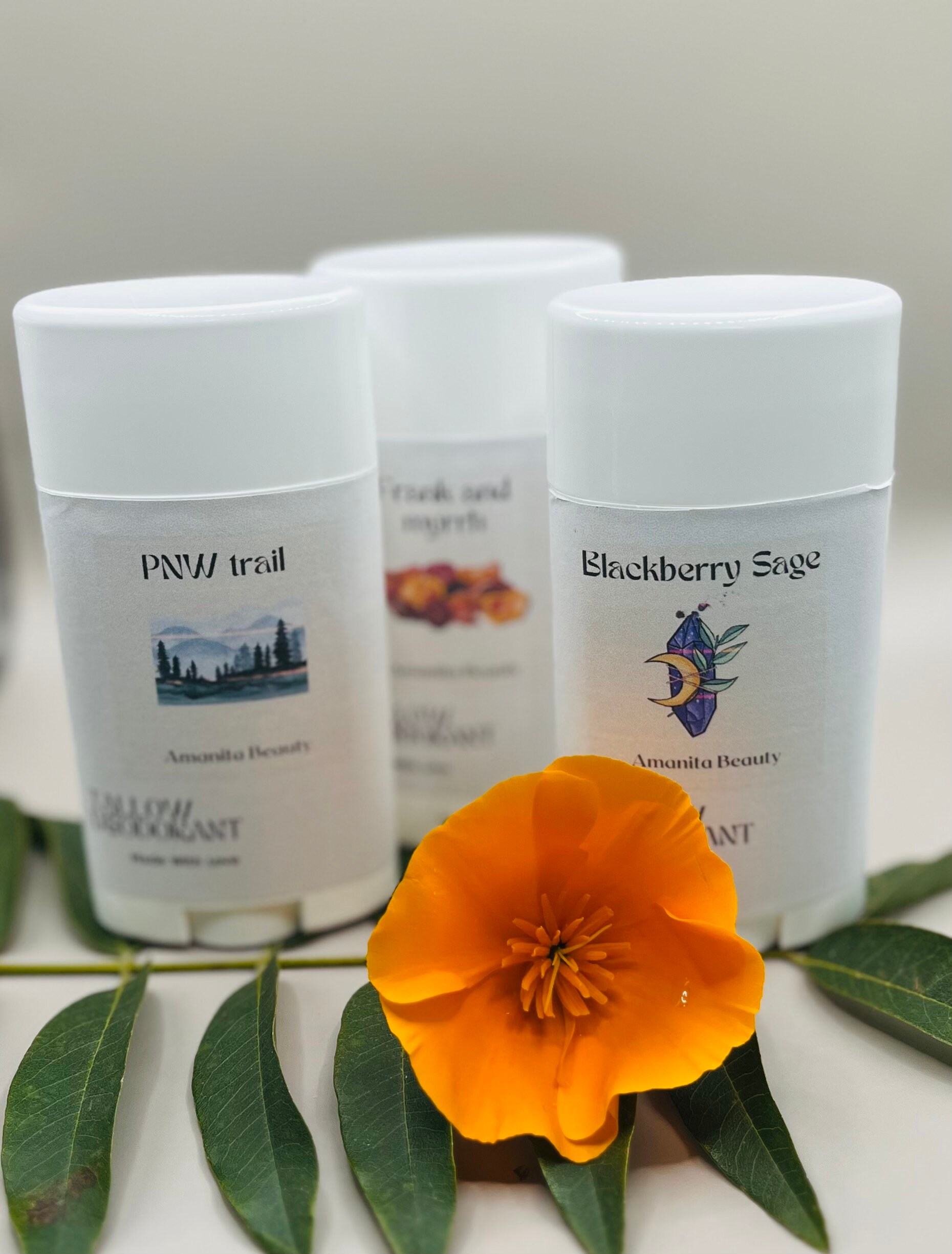 Natural Deodorant/ Grass Fed Pasture Raised Tallow/ Mushroom - Etsy
