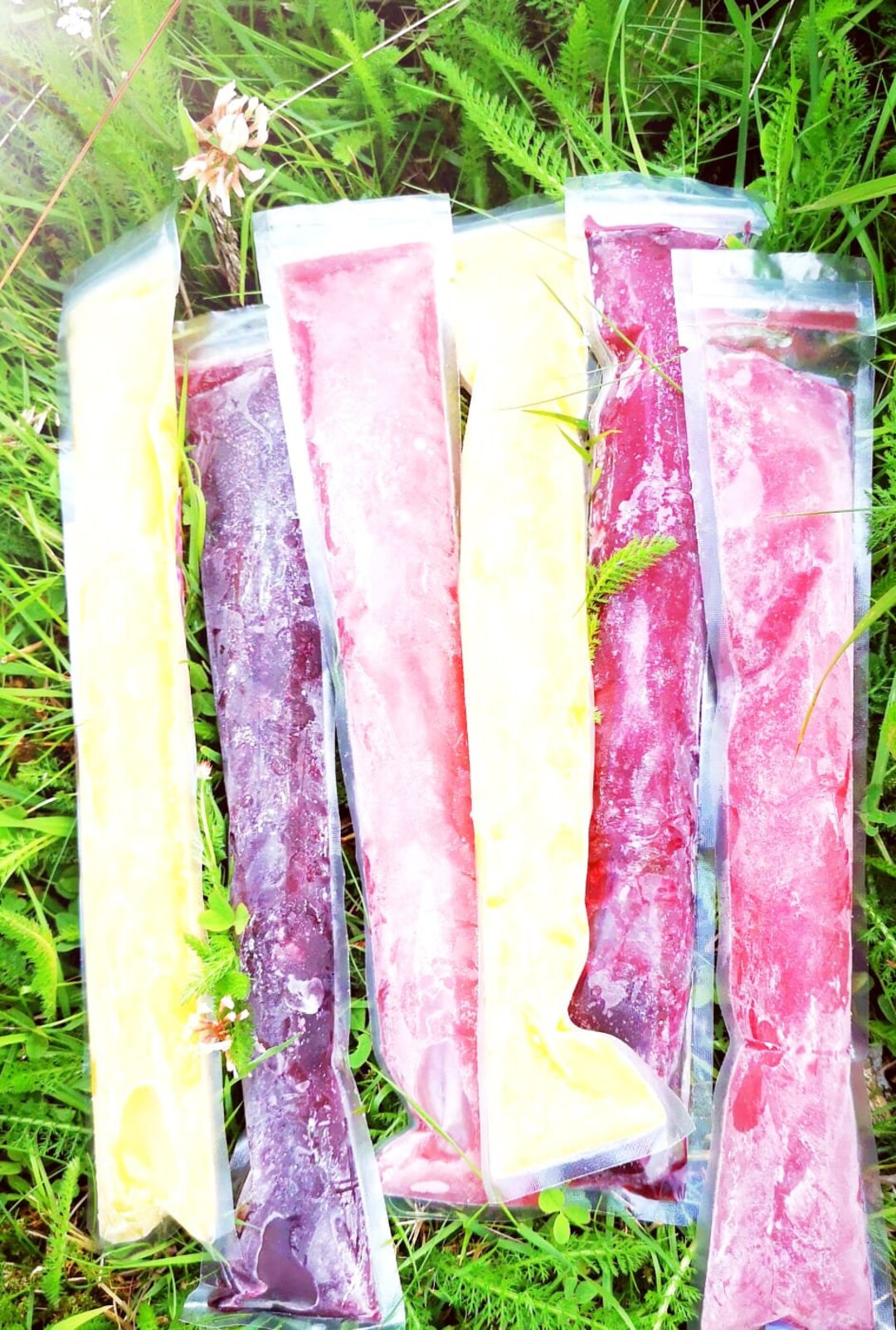 10 Sea Moss Popsicles | Ice Pops | Ice Lolly | Wildcrafted Sea Moss ...