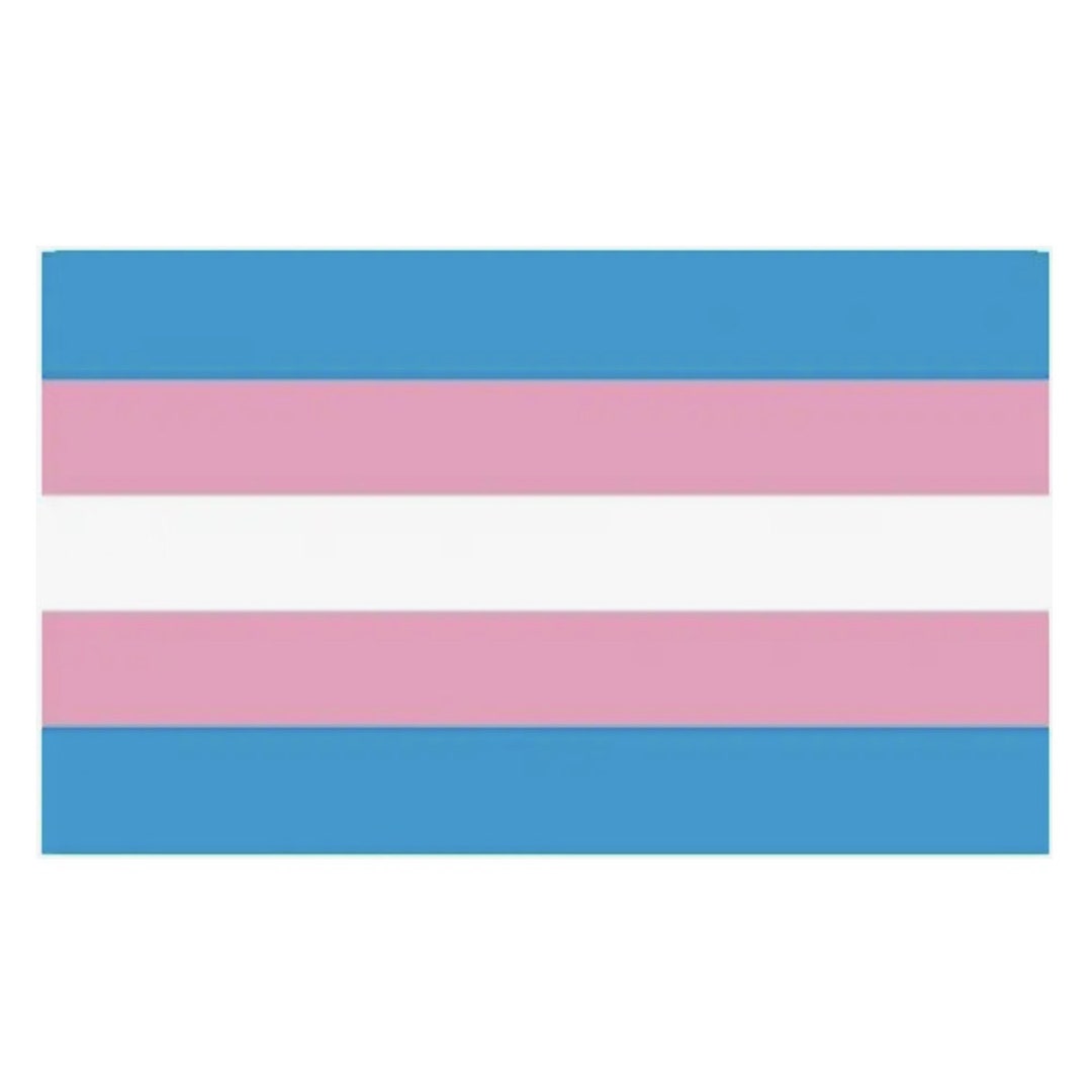 Transgender Trans Pride Flag 3x5 Monica Helms MTF FTM With Grommets - Etsy