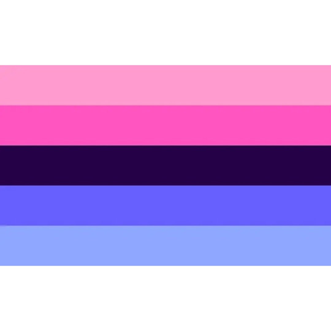 Omnisexual Pride Flag 3x5 With Grommets LGBT Cape for Pride - Etsy