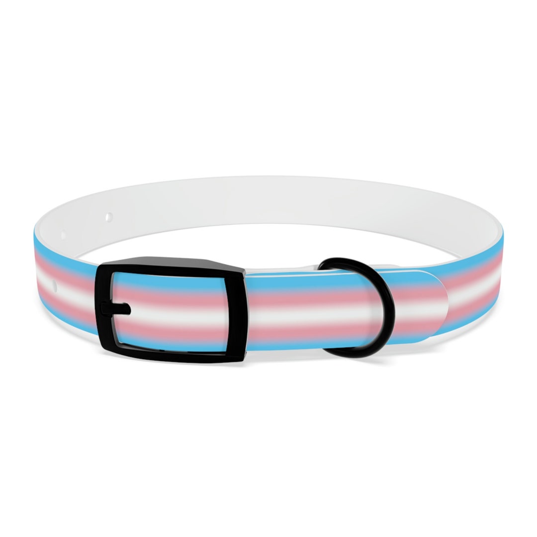 Transgender Trans Pride Pet Collar FTM MTF LGBT Dog Cat Monica Helms - Etsy