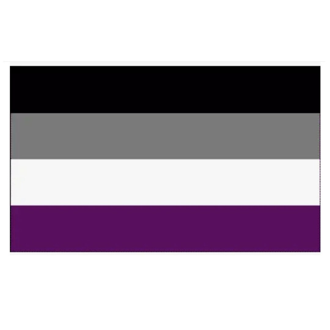 Asexual Ace Pride Flag 3x5 With Grommets - Etsy