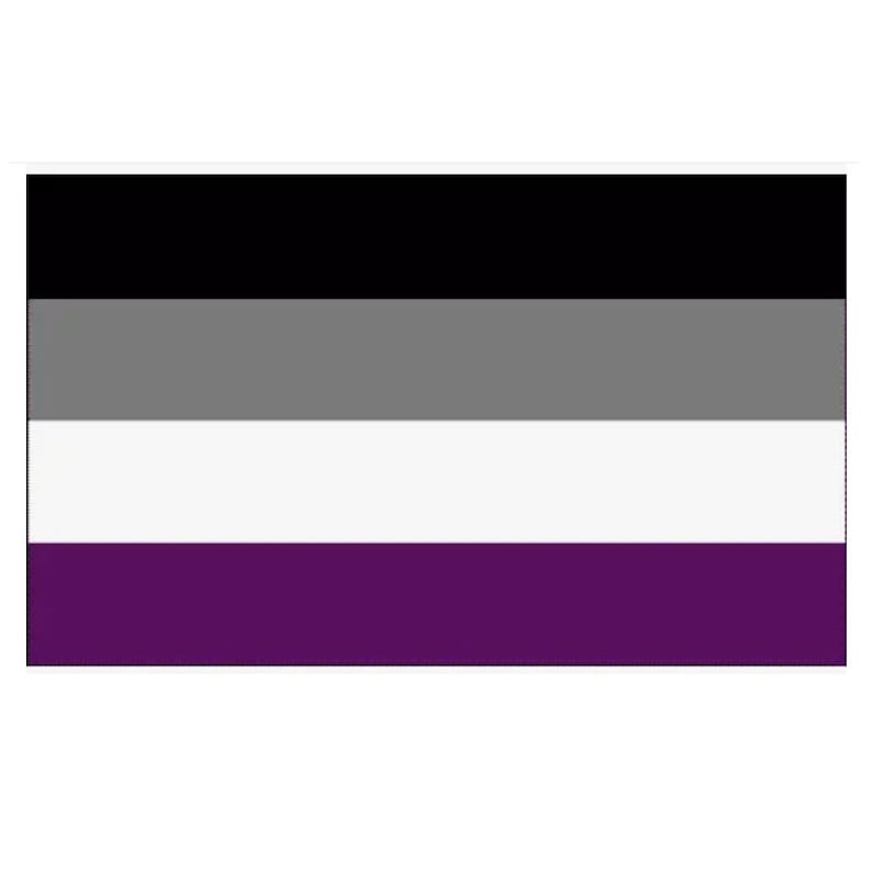 Asexual Ace Pride Flag 3x5 With Grommets - Etsy