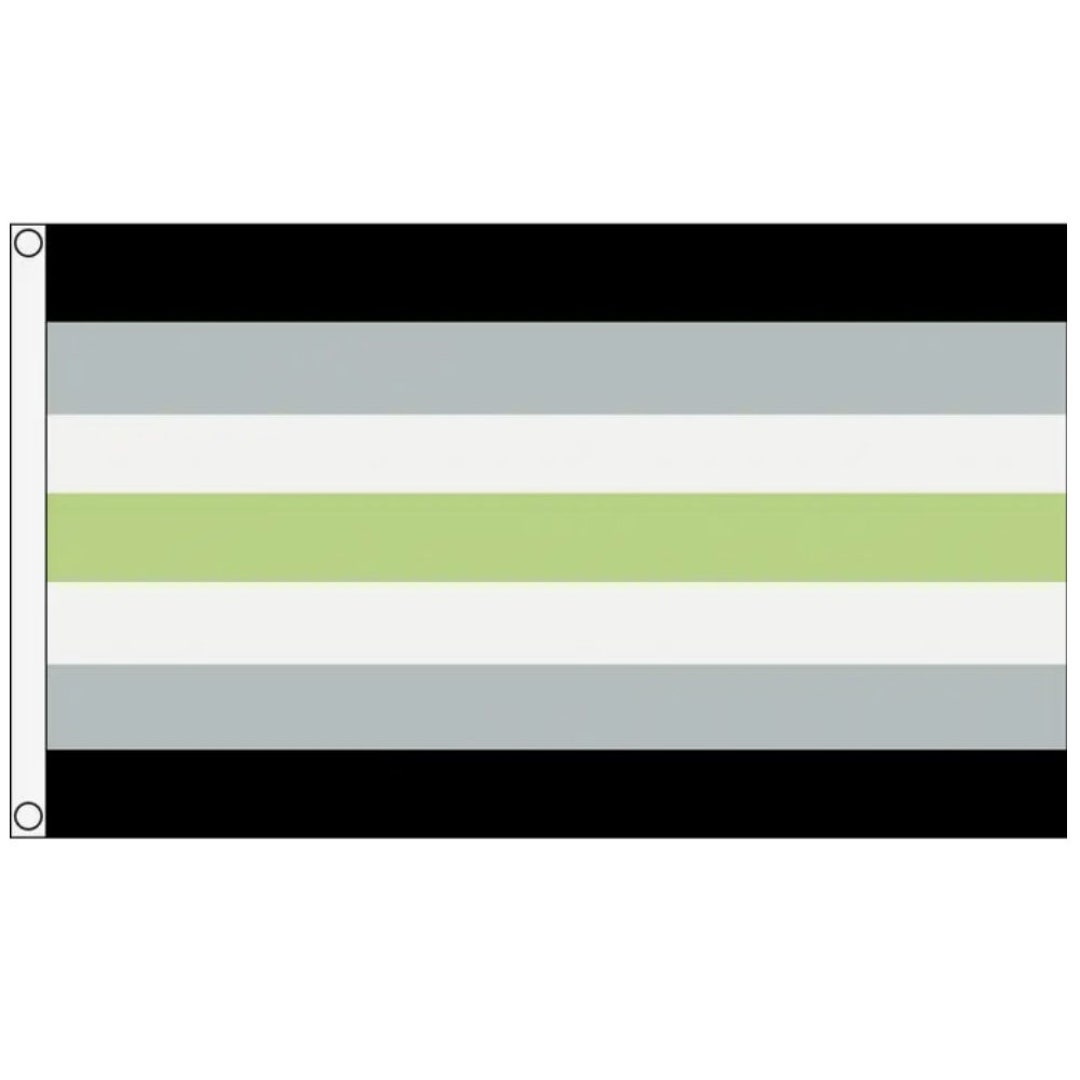 Agender Pride Flag 3x5 With Grommets or Wear as LGBT Cape - Etsy