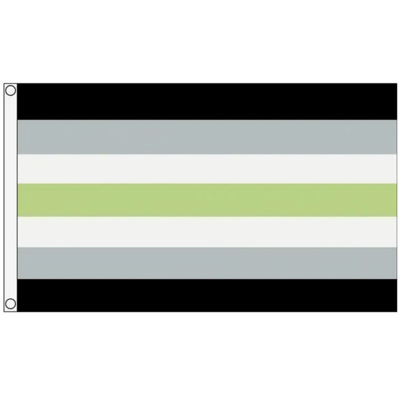 Agender Pride Flag 3x5 With Grommets or Wear as LGBT Cape - Etsy